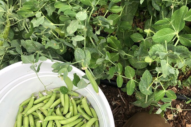 Private Farm Workshop in Napa Valley - FAQ
