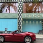 Private Ferrari Driving Tour from Hollywood to Sunset - Who Will Love This Tour?