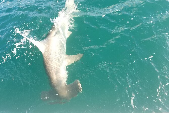 Private Fishing Charter Florida Keys - Key Points