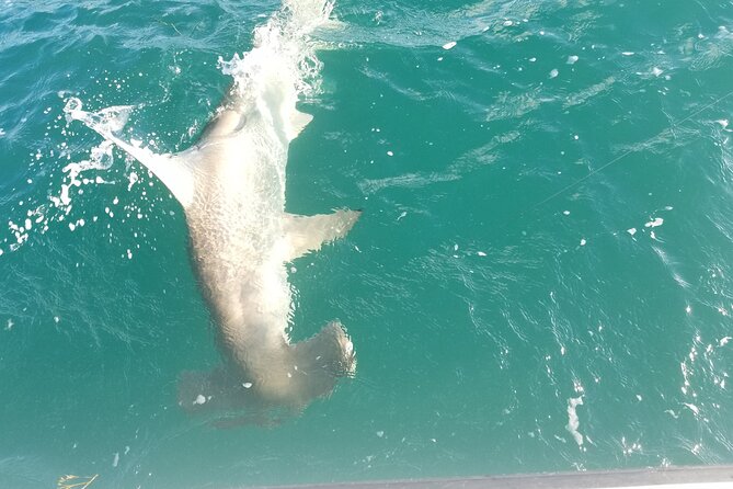 Private Fishing Charter Florida Keys - Who Should Book This Tour?