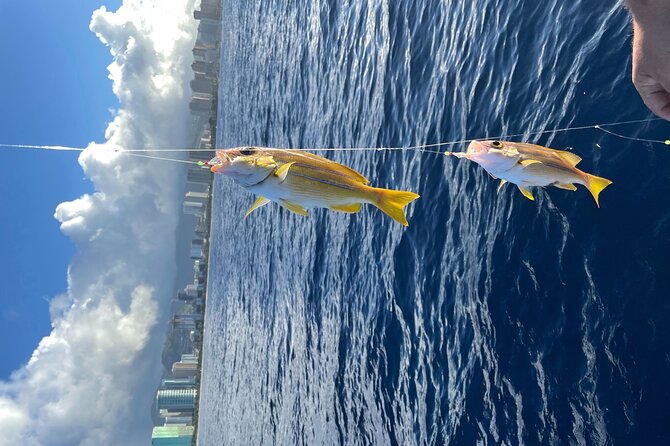 Private Fishing Charter for Family and Friends in Honolulu - FAQ