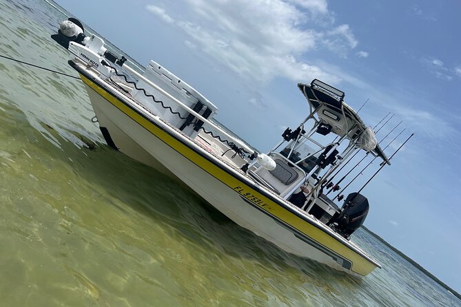 Private Fishing Charter in Tampa - What You Can Expect from the Tampa Fishing Charter
