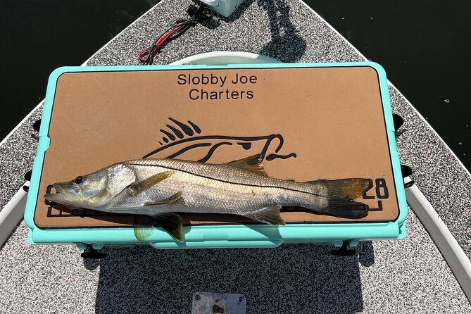 Private Fishing Charter in Tampa - The Sum Up: Is it Worth It?