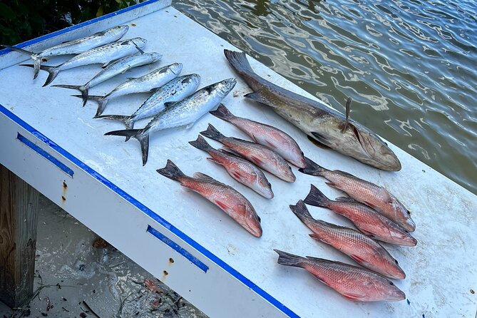 Private Fishing Charter in Tampa - FAQ