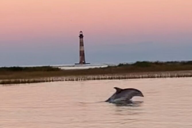 Private Folly Beach Dolphin Cruise (up to 12) - What to Expect from the Itinerary