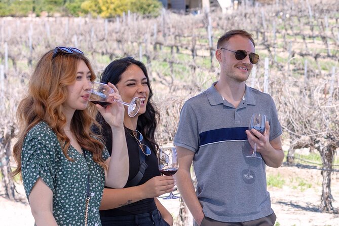 Private Four-Hour Wine Tasting Adventure of Temecula Valley - What You Can Expect from the Tour