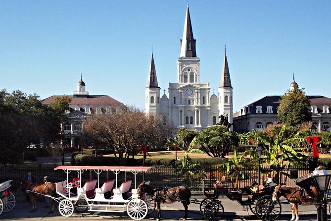 Private French Quarter Walking and City Surrounding Neighborhoods Driving Tour - A Closer Look at the Tour Experience