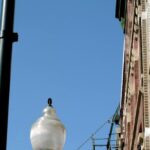 Private Frida and Friends Tour in Pilsen - A Detailed Look at the Pilsen Tour