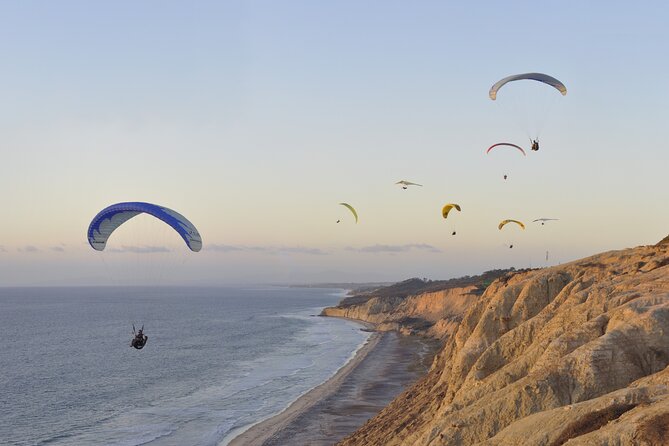 Private Full Day Coastal Tour from San Diego with private driver/guide - What We Think About the Experience