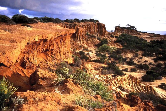Private Full Day Coastal Tour from San Diego with private driver/guide - FAQ: Your Questions Answered