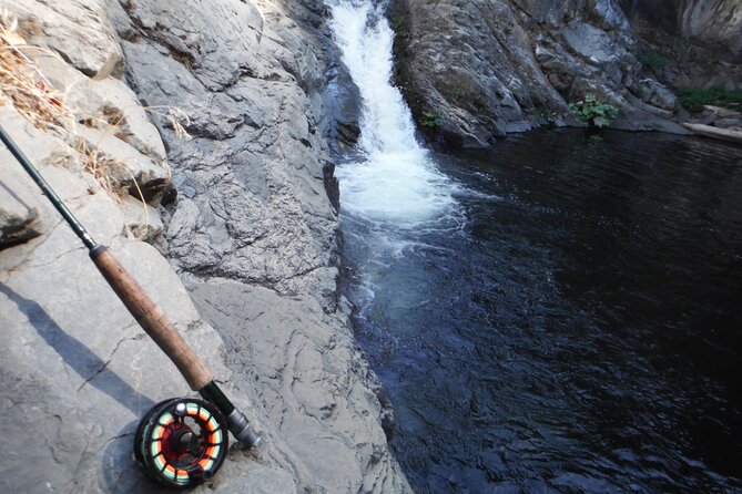 Private Full Day Fly Fishing For Beginners and Experienced Anglers - Pricing and Value