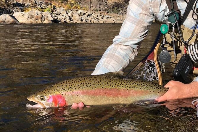Private Full Day Fly Fishing For Beginners and Experienced Anglers - Why We Think This Tour Shines