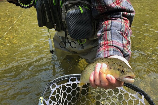 Private Full Day Fly Fishing For Beginners and Experienced Anglers - Who Will Love This Tour