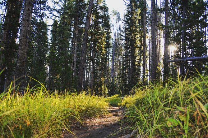Private Full-Day Grand Canyon of Yellowstone Hiking Adventure - FAQs