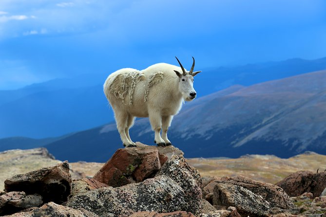 Private Full-Day Mount Blue Sky & Red Rocks Tour from Denver - The Sum Up