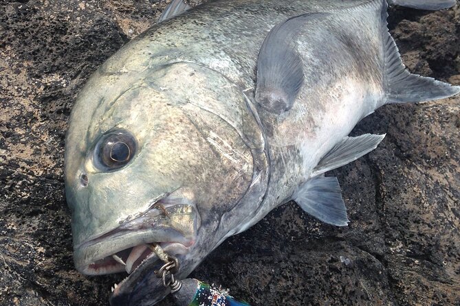 Private Full Day of GT Fishing - An In-Depth Look at the Experience