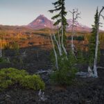 Private Full-Day Photo Tours - Who Is This Tour Best For?