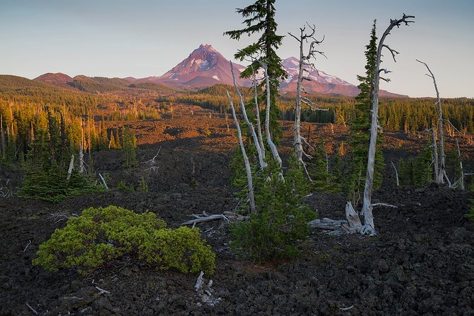 Private Full-Day Photo Tours - Who Is This Tour Best For?