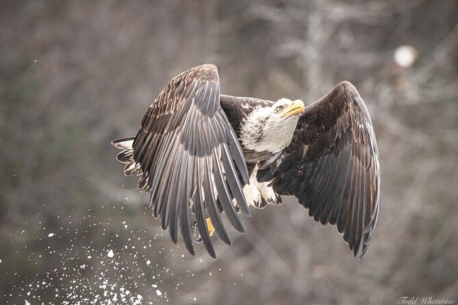 Private Full Day Photography Workshop of Fairbanks - An In-Depth Look at the Fairbanks Photography Workshop