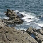 Private Full Day Tour to Coastal Maine from Boston with Hotel pick-up - Who Will Love This Tour?