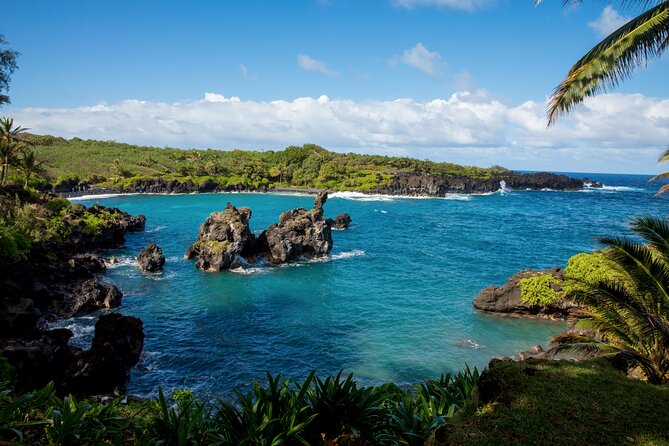 Private Full-Day Waterfall Beach and Jungle Tour of Maui - Who Should Consider This Tour?