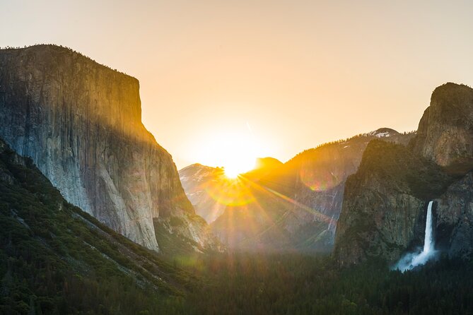 Private Giant Sequoia Grove Hike - The Experience: A Day in Yosemite’s Giant Forests