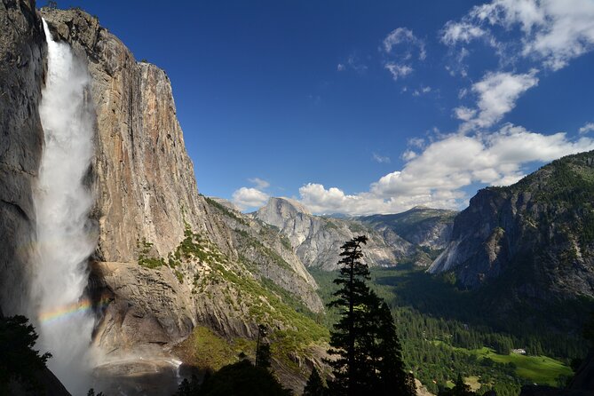 Private Giant Sequoia Grove Hike - The Practicalities: Cost, Duration, and Whats Included