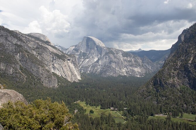 Private Giant Sequoia Grove Hike - Authentic Experiences and Reviewer Insights