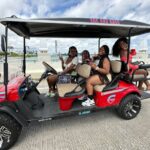 Private Golf Cart Tours in Miami South Beach and Venetian Islands - What’s Included and What to Consider
