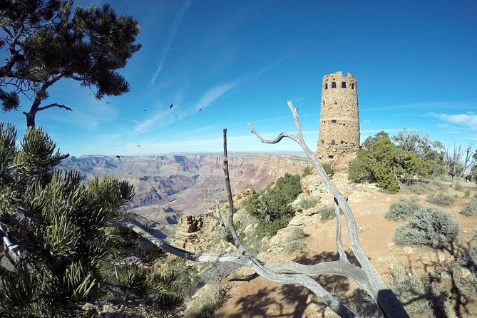Private Grand Canyon Sightseeing Tour from Williams Tusayan GCV - The Sum Up