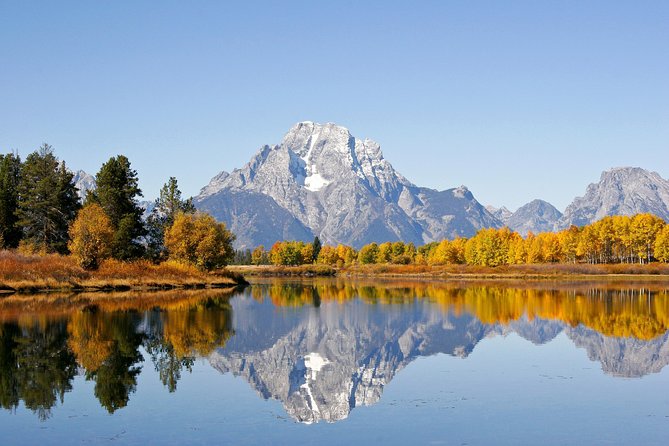 Private Grand Teton Wildlife Safari Tour - A Deep Dive into the Experience
