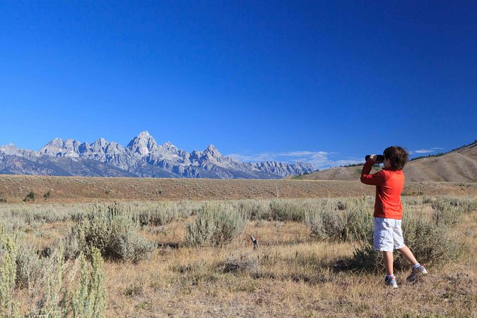 Private Grand Teton Wildlife Safari Tour - Who Will Love This Tour?