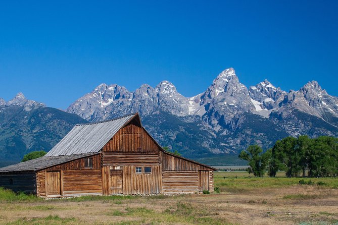 Private Grand Teton Wildlife Safari Tour - Final Thoughts