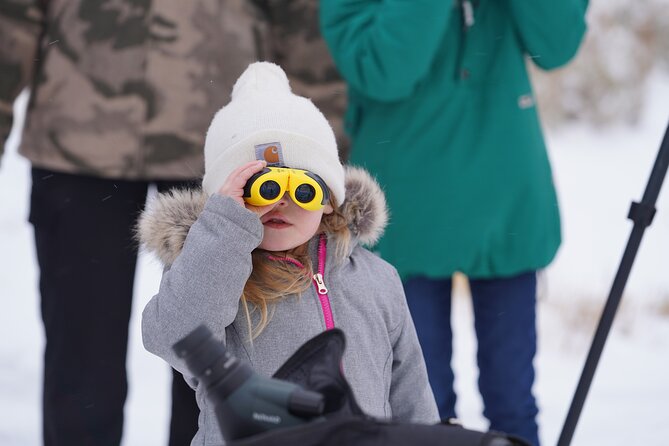 Private Grand Teton Winter Wildlife Safari with Picnic Lunch - Exploring the Tour Experience