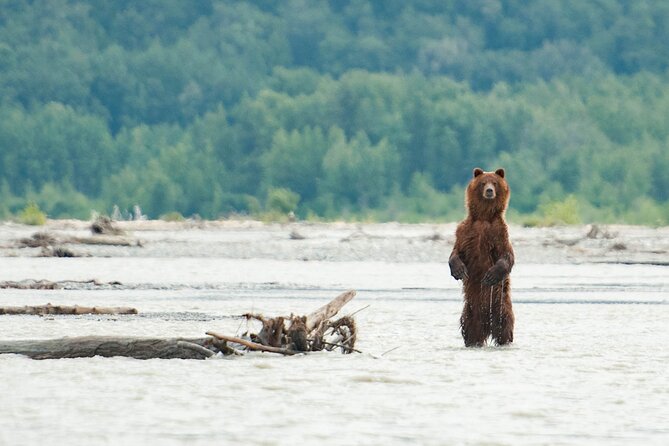Private Group Eagle Preserve Float Trip in Haines - An In-Depth Look at the Eagle Preserve Float Trip