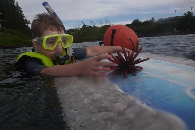 Private Group Snorkel Adventure on Tropical Reef with Sea Turtles - The Itinerary Breakdown: What to Expect