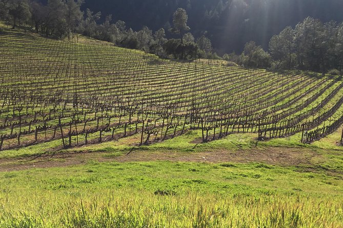 Private Group Wine Tour of Napa and Sonoma - What Makes This Tour Special?