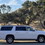 Private Group Wine Tours in Napa Valley - The Experience from Past Travelers