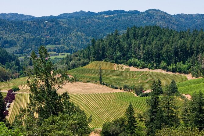 Private Group Wine Tours in Napa Valley - Who Should Consider This Tour?