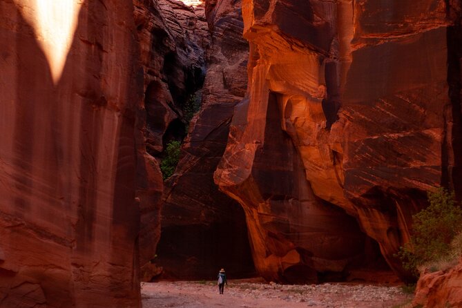 Private Guided Buckskin Gulch Tour Via Wire Pass - Practical Details and Value