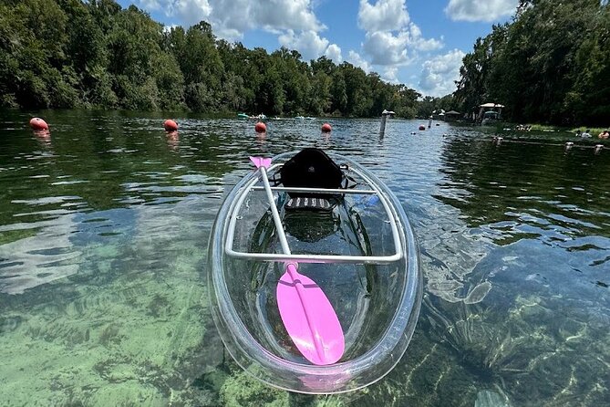 Private Guided Clear Kayak/Paddleboard Rentals on Rainbow River - Key Points