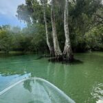 Private Guided Clear Kayak/Paddleboard Rentals on Rainbow River - What You Can Expect
