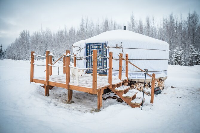 Private Guided Dog Sledding on the Historic Yukon Quest Trail - A Deep Dive into the Dog Sledding Experience