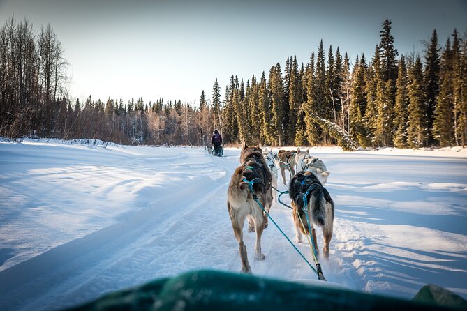 Private Guided Dog Sledding on the Historic Yukon Quest Trail - The Practical Details