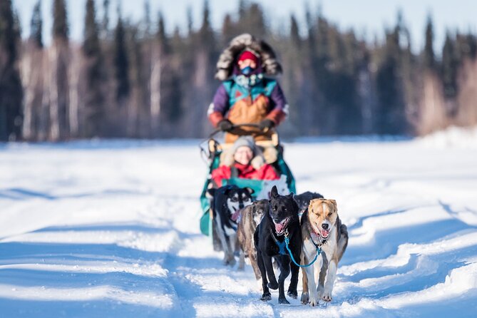 Private Guided Dog Sledding on the Historic Yukon Quest Trail - FAQs