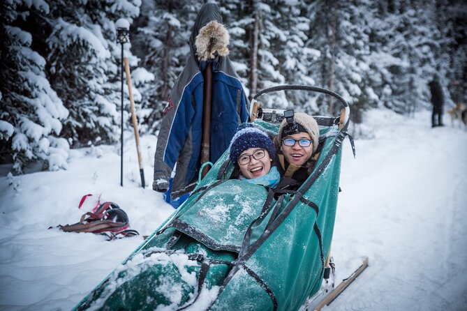 Private Guided Dog Sledding on the Historic Yukon Quest Trail - Final Thoughts