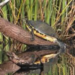 Private Guided Everglades Kayak Tour - The Itinerary Breakdown