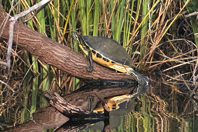 Private Guided Everglades Kayak Tour - The Itinerary Breakdown