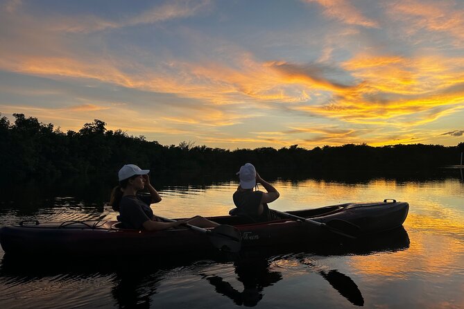 Private Guided Everglades Kayak Tour - Authentic Encounters and Expert Guidance