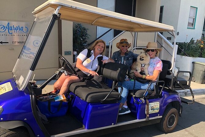 Private Guided Golf Cart Tour of Avalon - In-Depth Look at the Itinerary